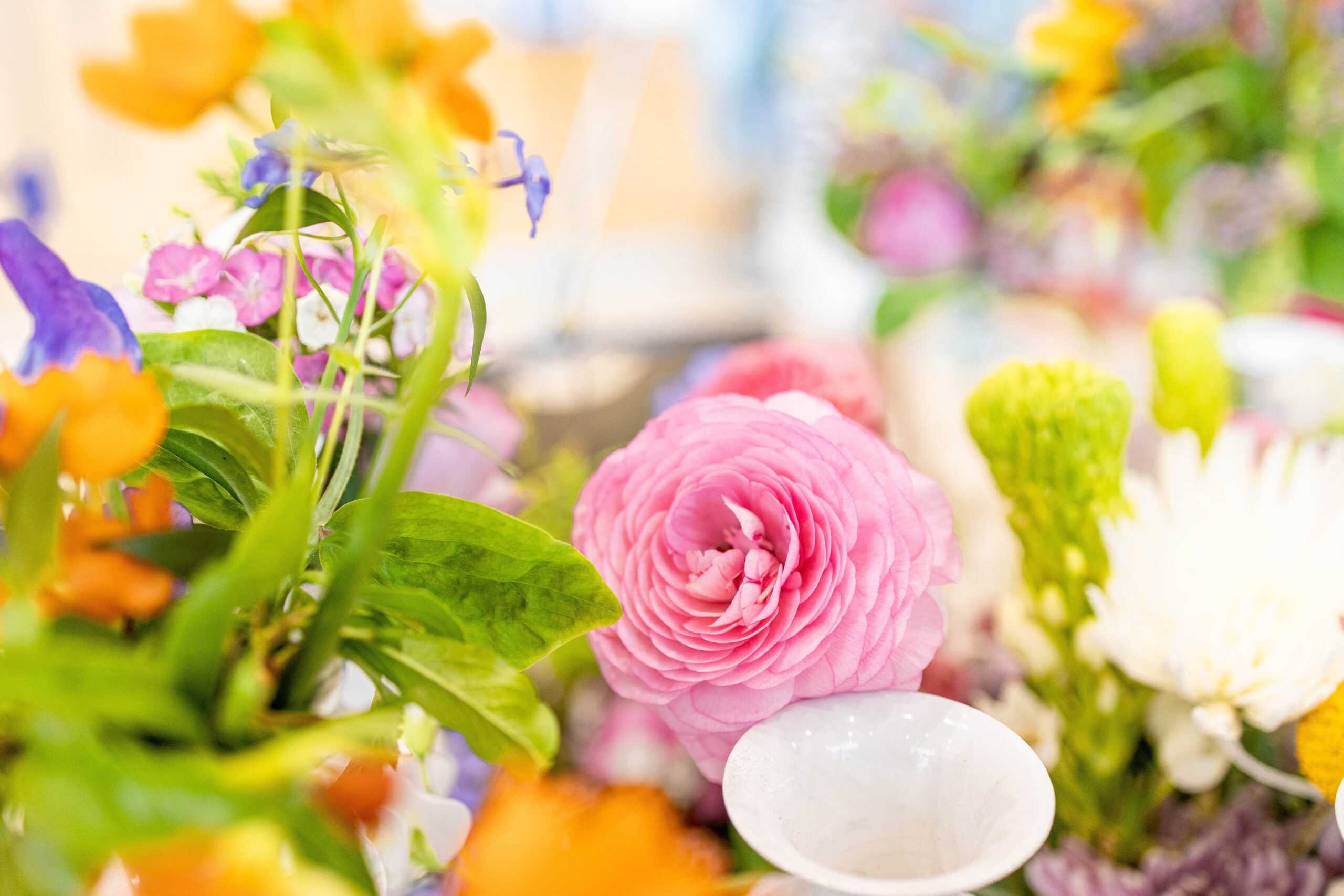 Springtime Hobbies for Addiction Recovery | Beachside Rehab