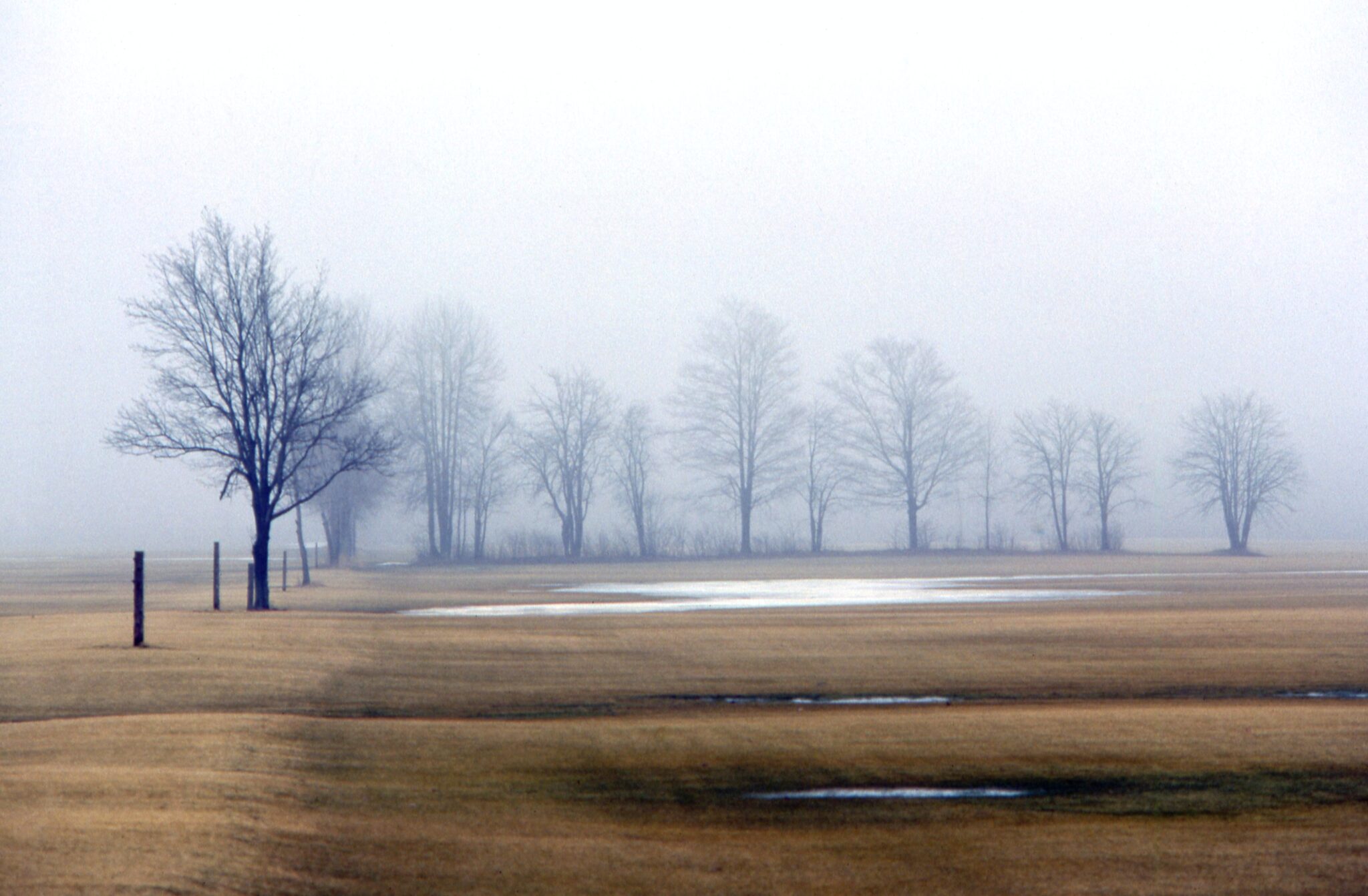 Strategy to Deal With Seasonal Depression | Beachside Rehab